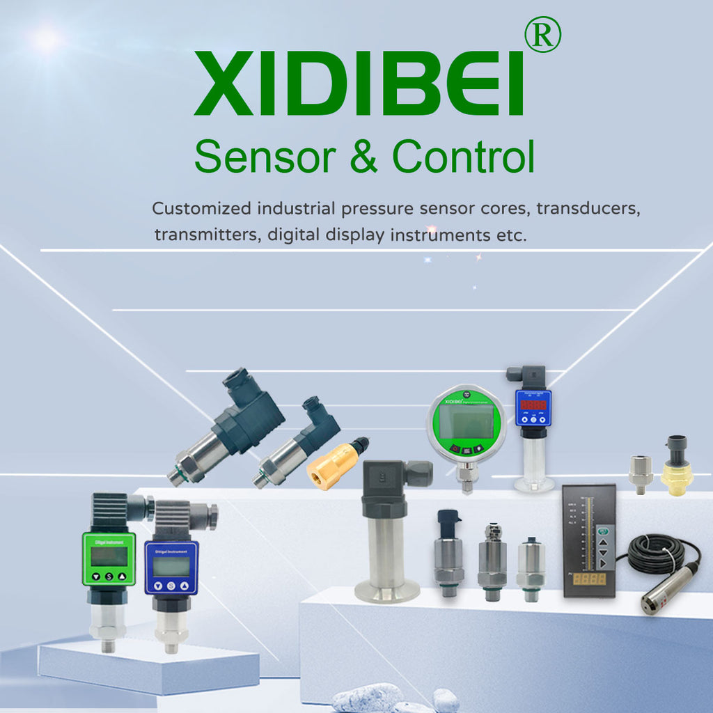 Environmental requirements for explosion-proof sensors – XIDIBEI